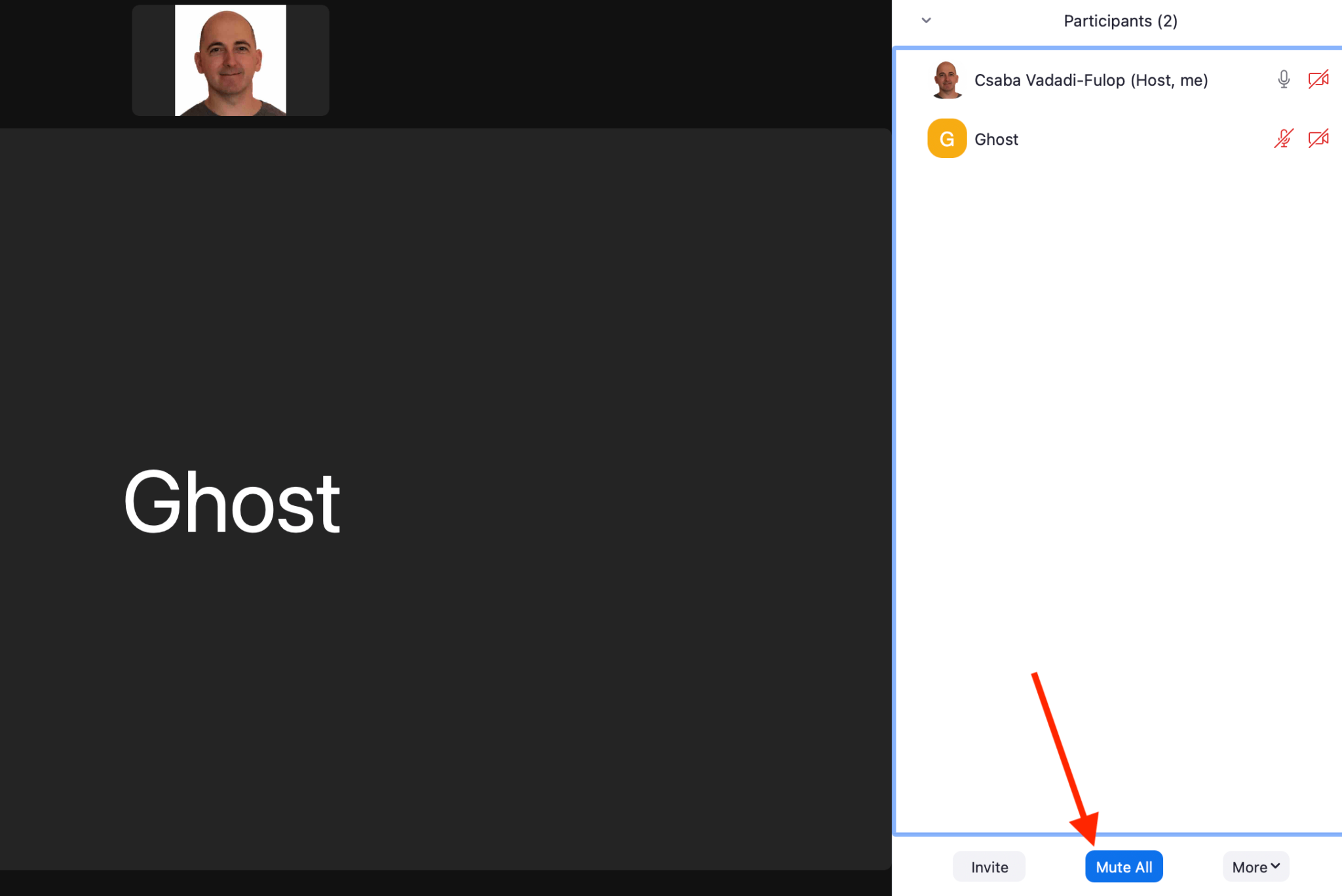 How to Mute a Zoom Meeting: an Easy Guide - Productivity Nine to Five