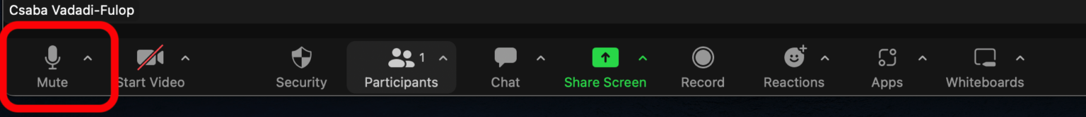 How to Mute a Zoom Meeting: an Easy Guide - Productivity Nine to Five