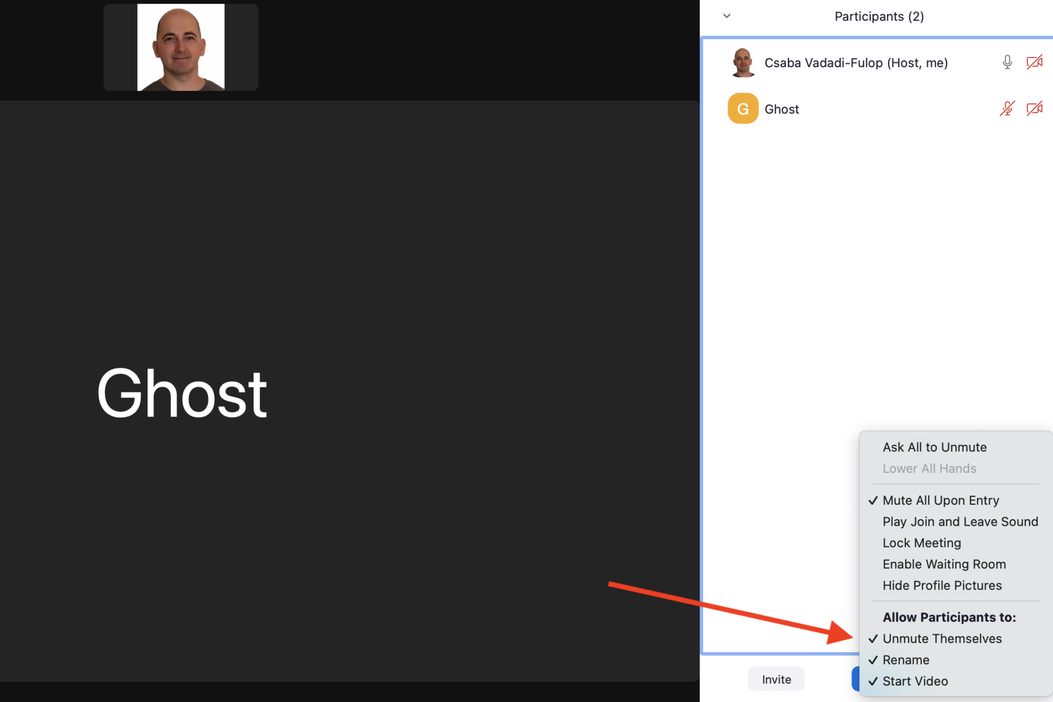 How to Mute a Zoom Meeting: an Easy Guide - Productivity Nine to Five
