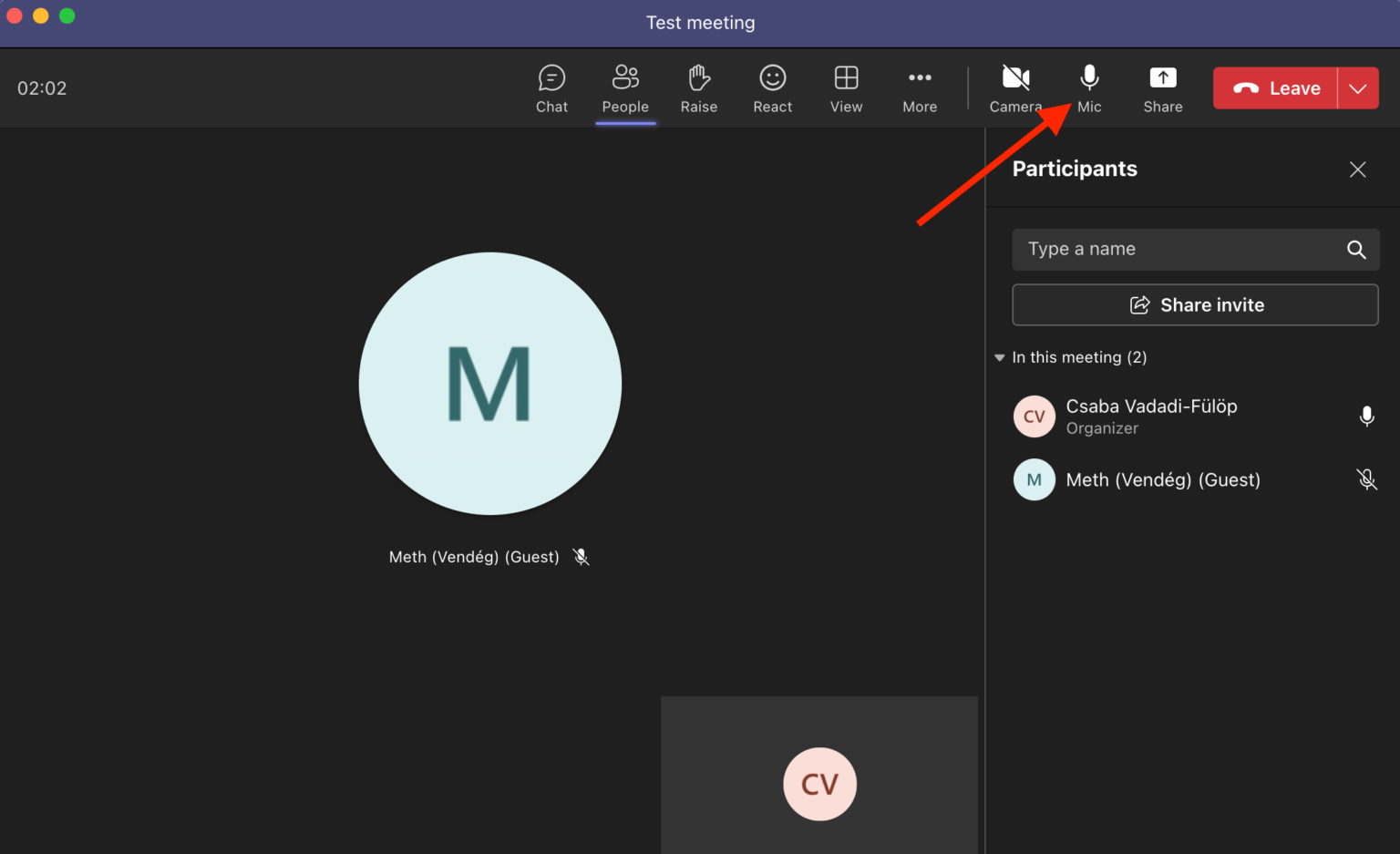 How to Mute Microsoft Teams: an Easy Guide - Productivity Nine to Five