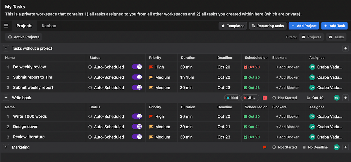 Motion App Review: Is it the Best Emerging Productivity App? - Productivity Nine to Five